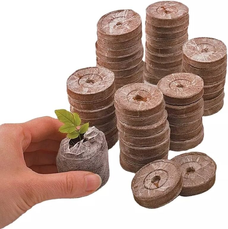 Coco Jiffy Plug - Bio Substrates