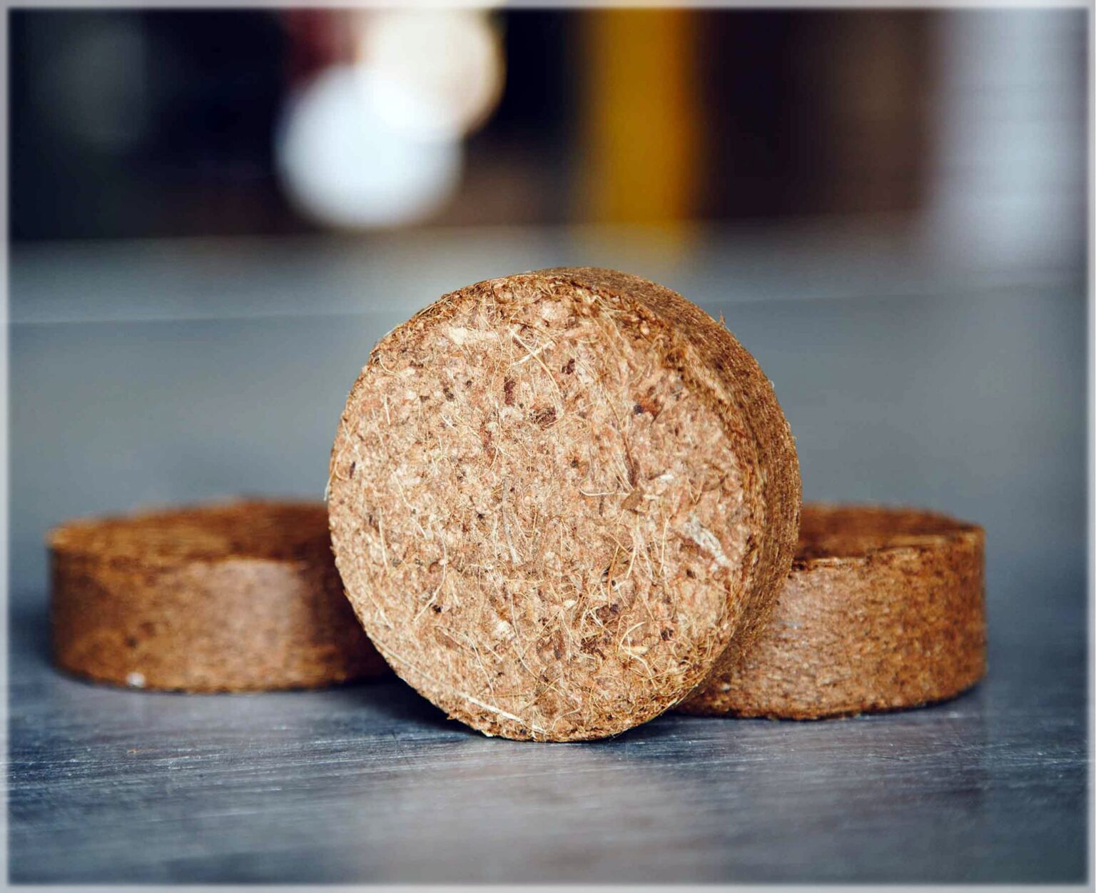 Coco disc - Bio Substrates